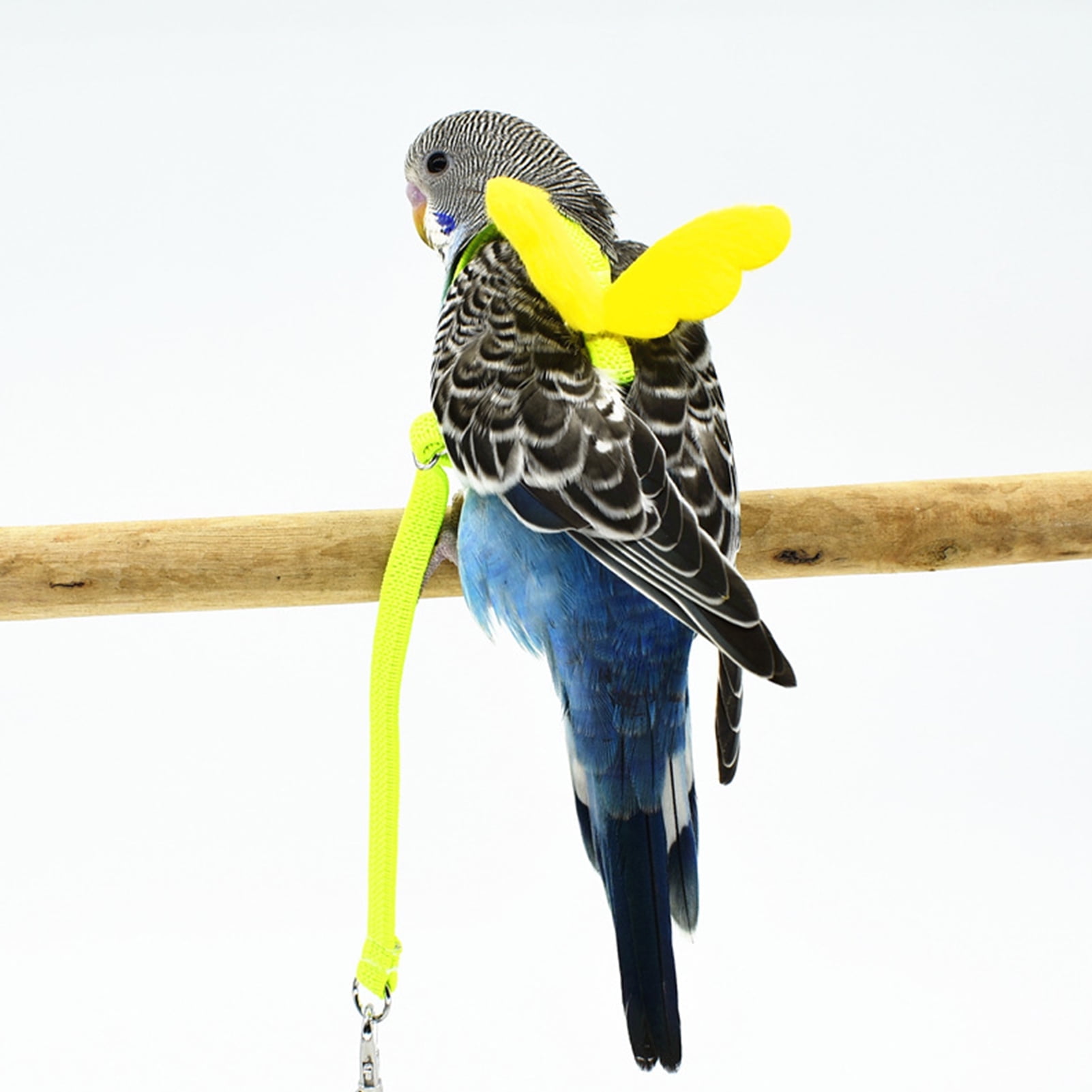 StarBay Flexible Parrot Harness Leash Outdoor Training Traction Rope ...