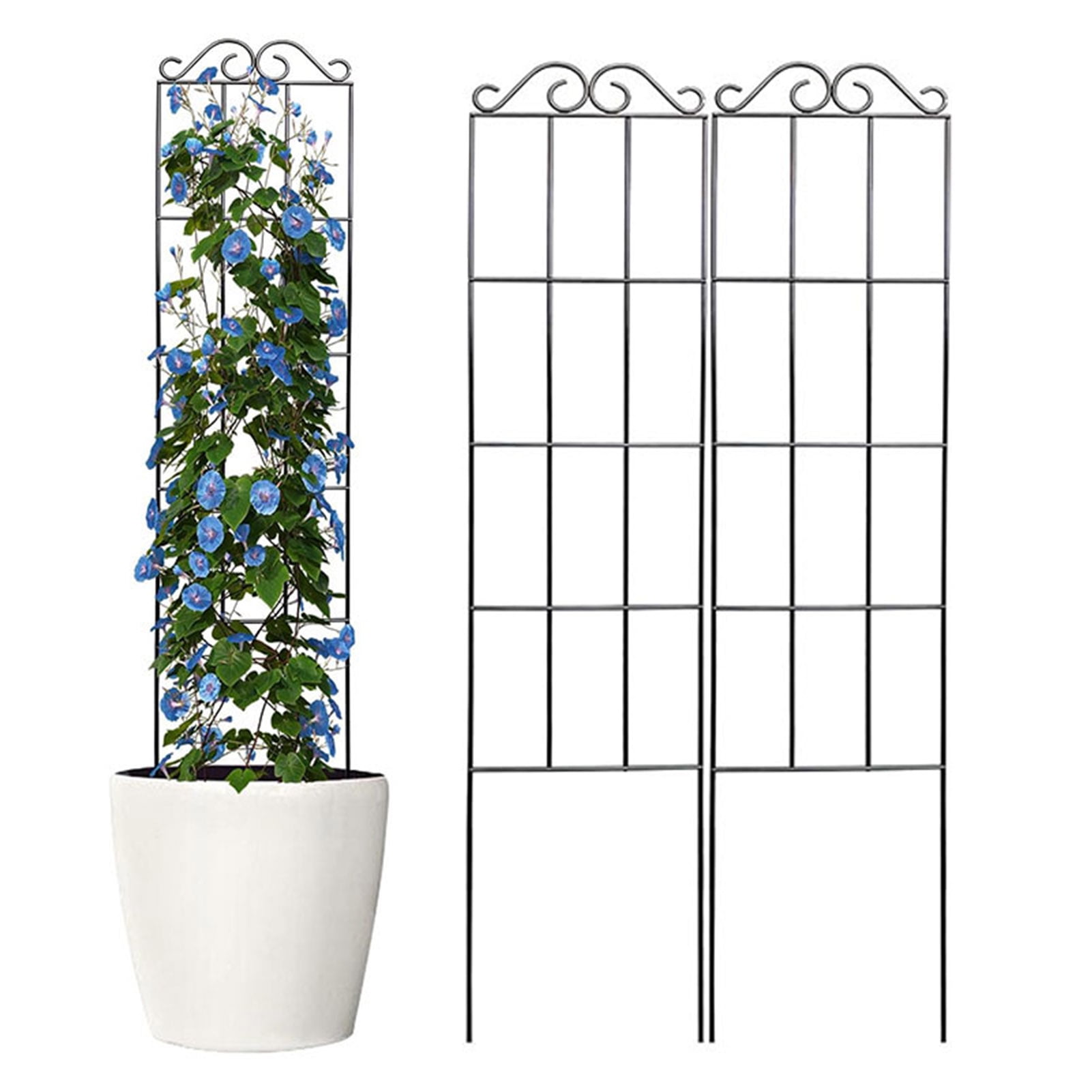 Andvari Metal Plant Climbing Frame - 2 Pack Plant Support Stand ...
