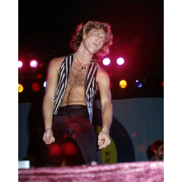 Andy Gibb 24X36 Classic Hollywood Poster Handsome Pose In Concert ...