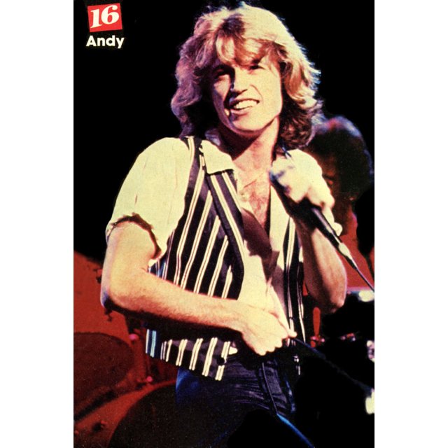 Andy Gibb Poster Vintage 80S Image 27Inx40In for any room 27x40 Multi ...