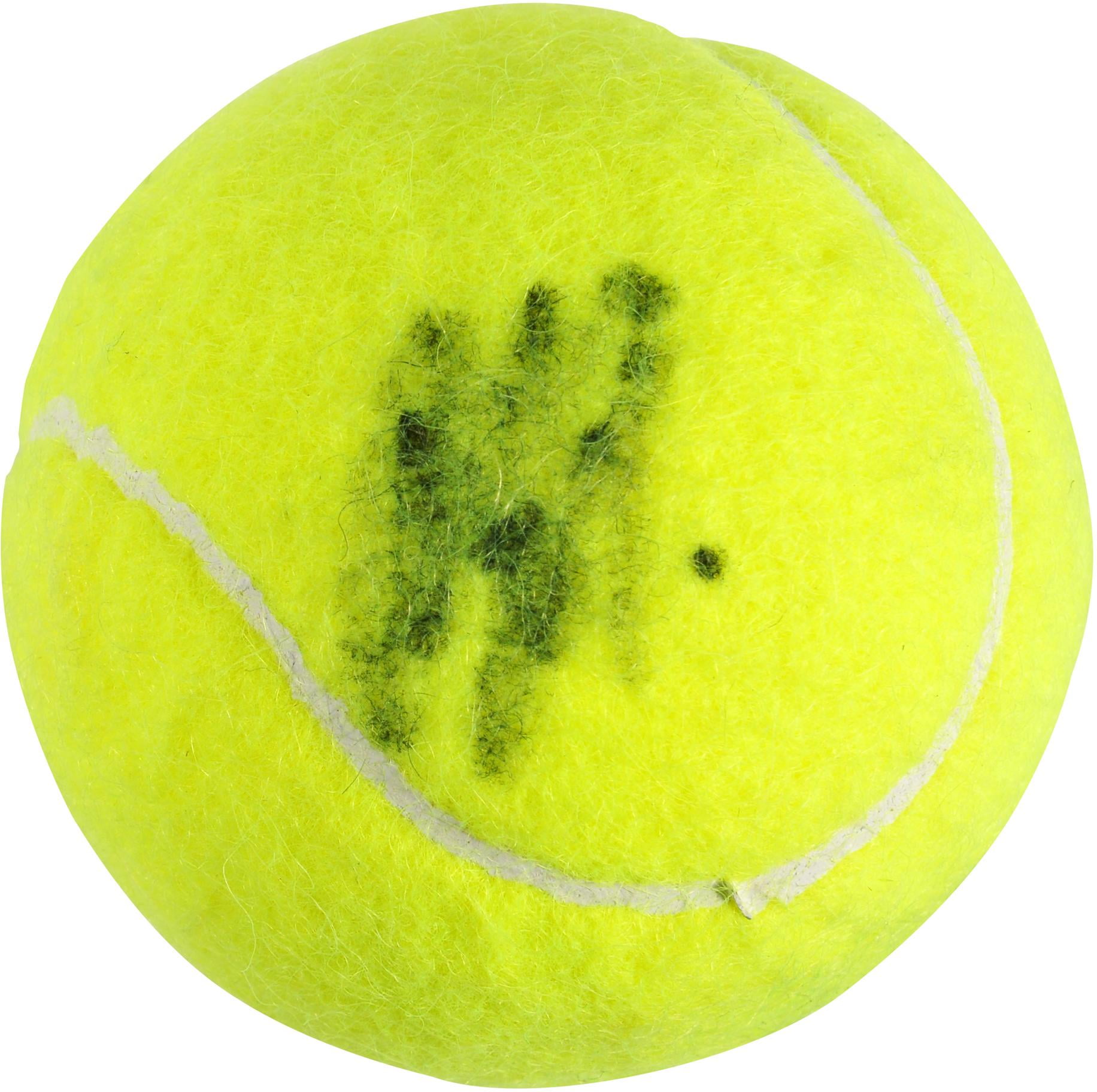 Andy Roddick Autographed Tennis Ball - Fanatics Authentic Certified ...