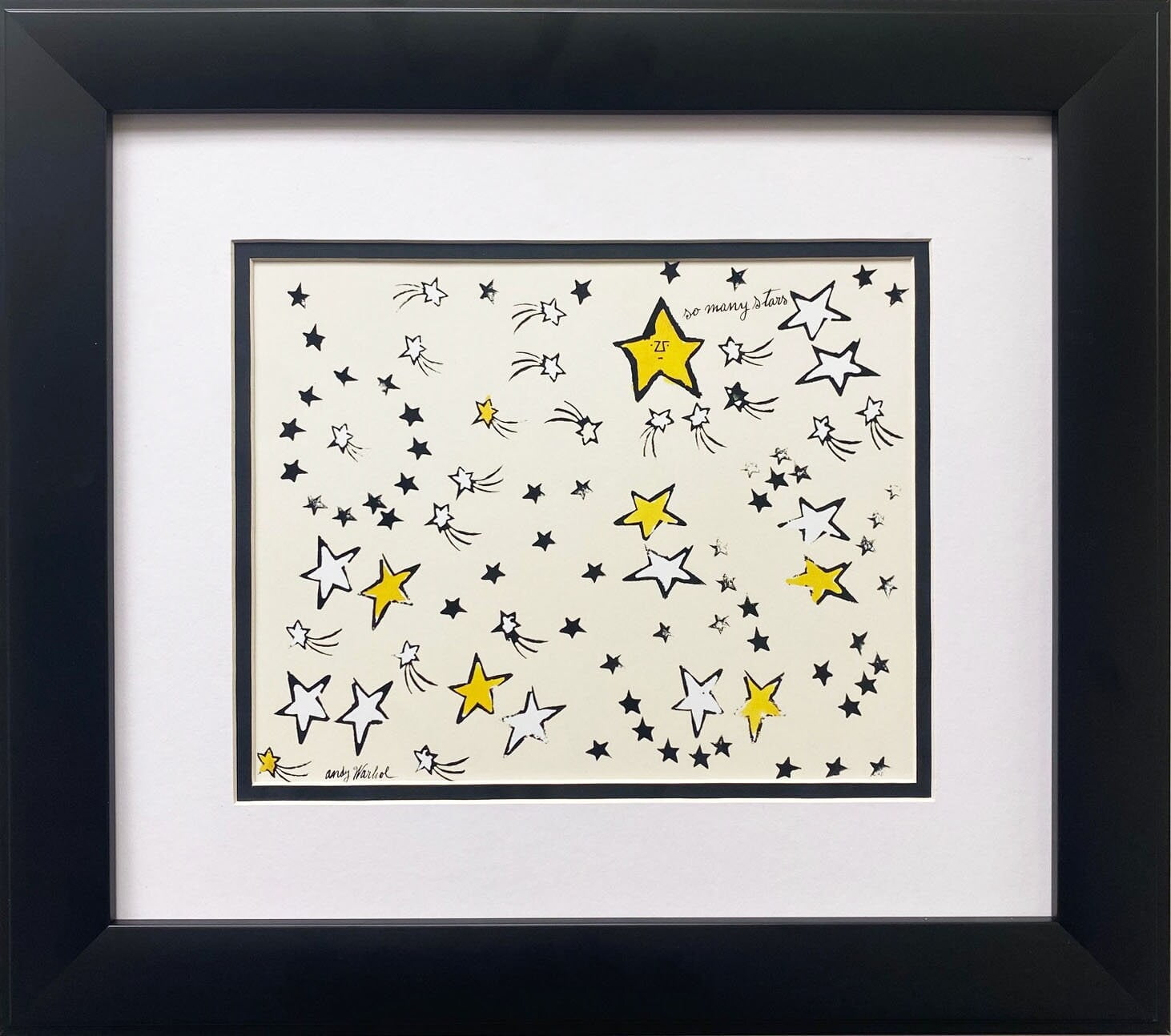 Andy Warhol "So Many Stars" Newly CUSTOM FRAMED Matted Pop Art Generic ...
