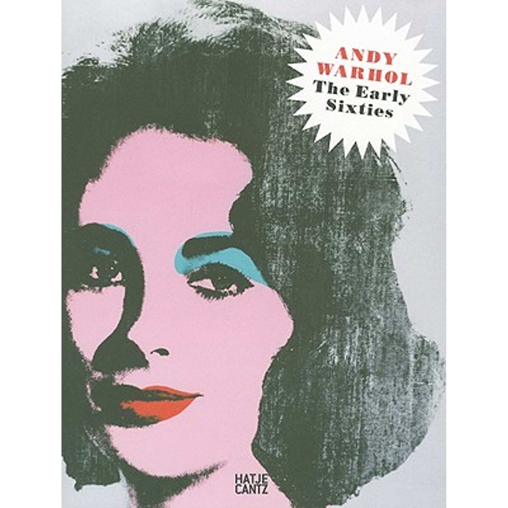Pre-Owned Andy Warhol: the Early Sixties 9783775726511 Used - Walmart.com