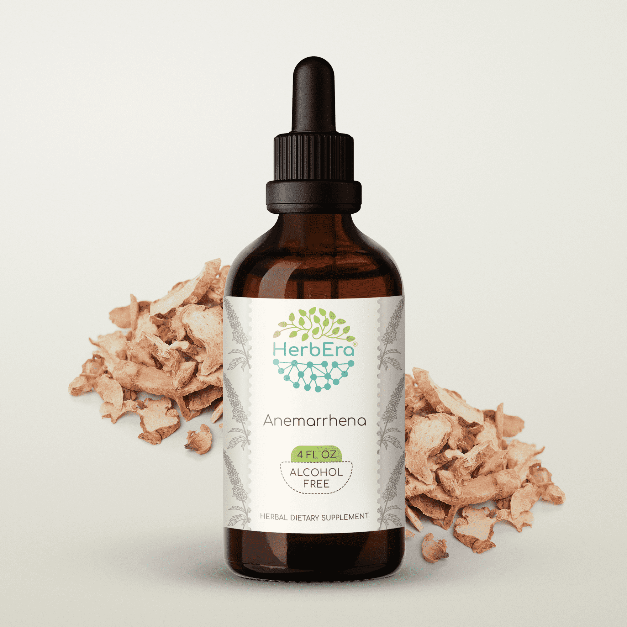 HerbEra Anemarrhena Tincture, Herbal Dietary Supplement for Immune and ...