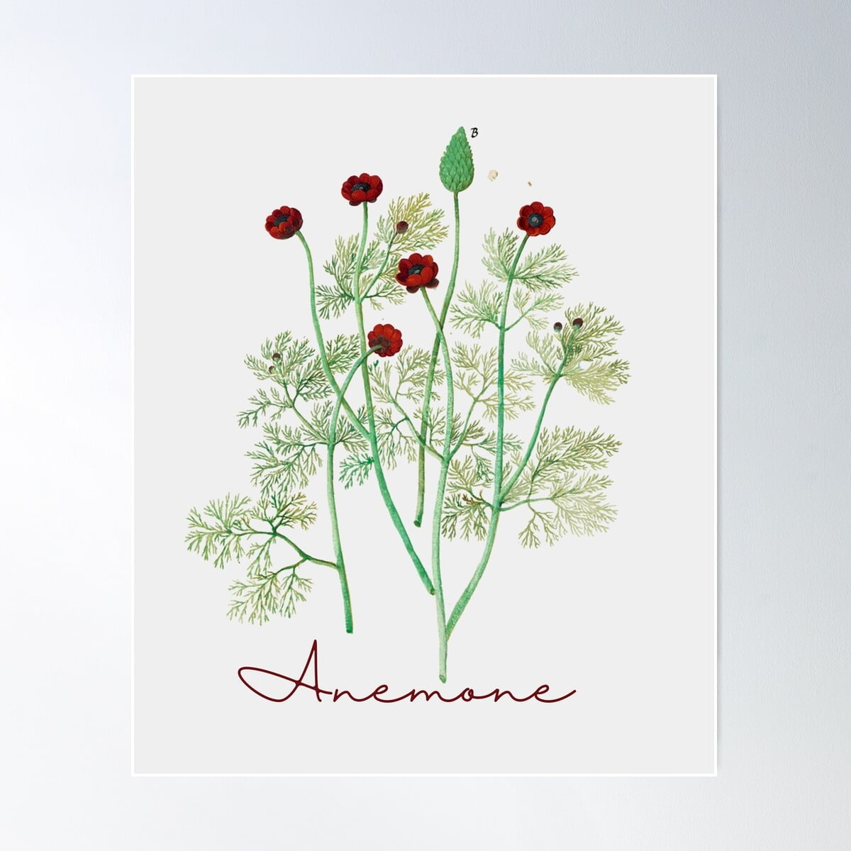 Anemone Vintage Flowers Poster Wall Art Bedroom Wall Art Home Decor ...