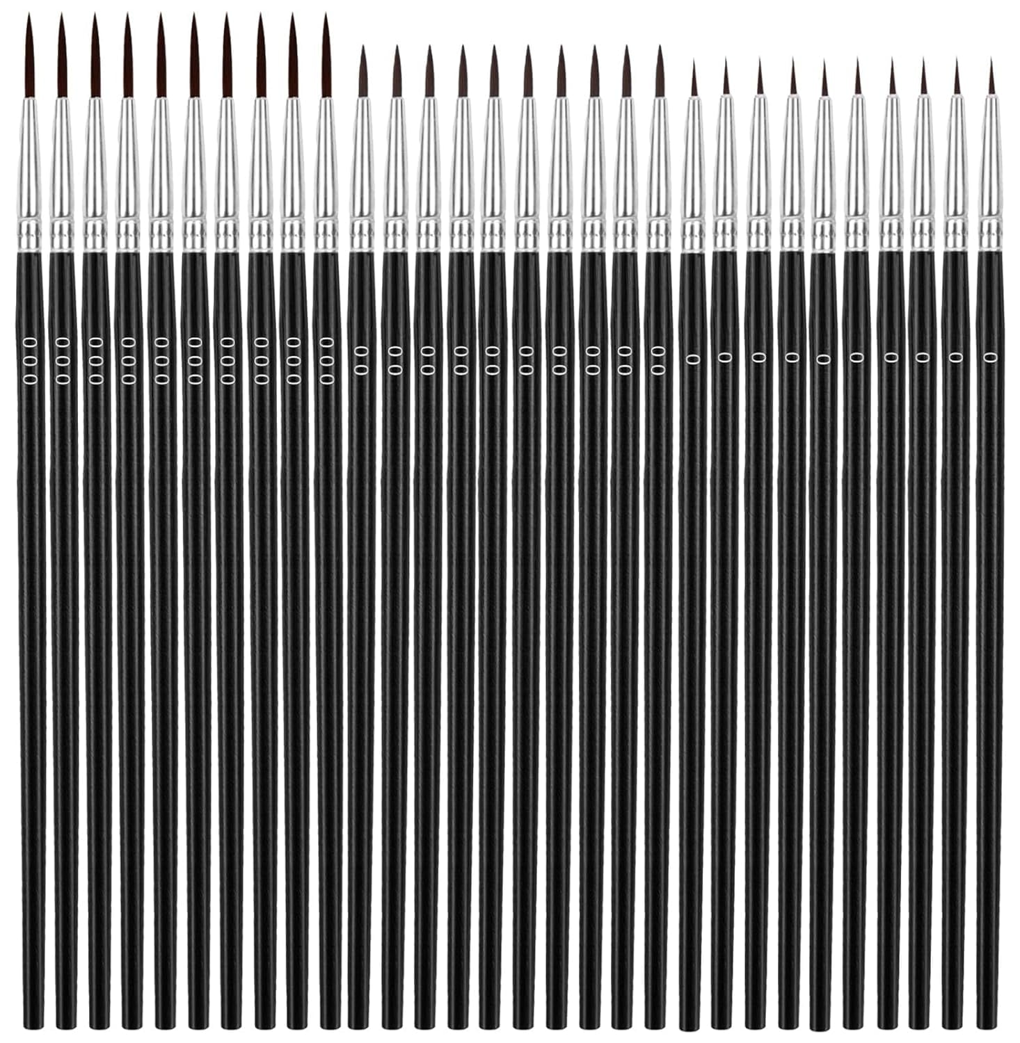 Anezus Tiny Detail Paint Brushes 30 Pcs Fine Paint Brushes Set with 3 Size 000000 Liner Brush ...