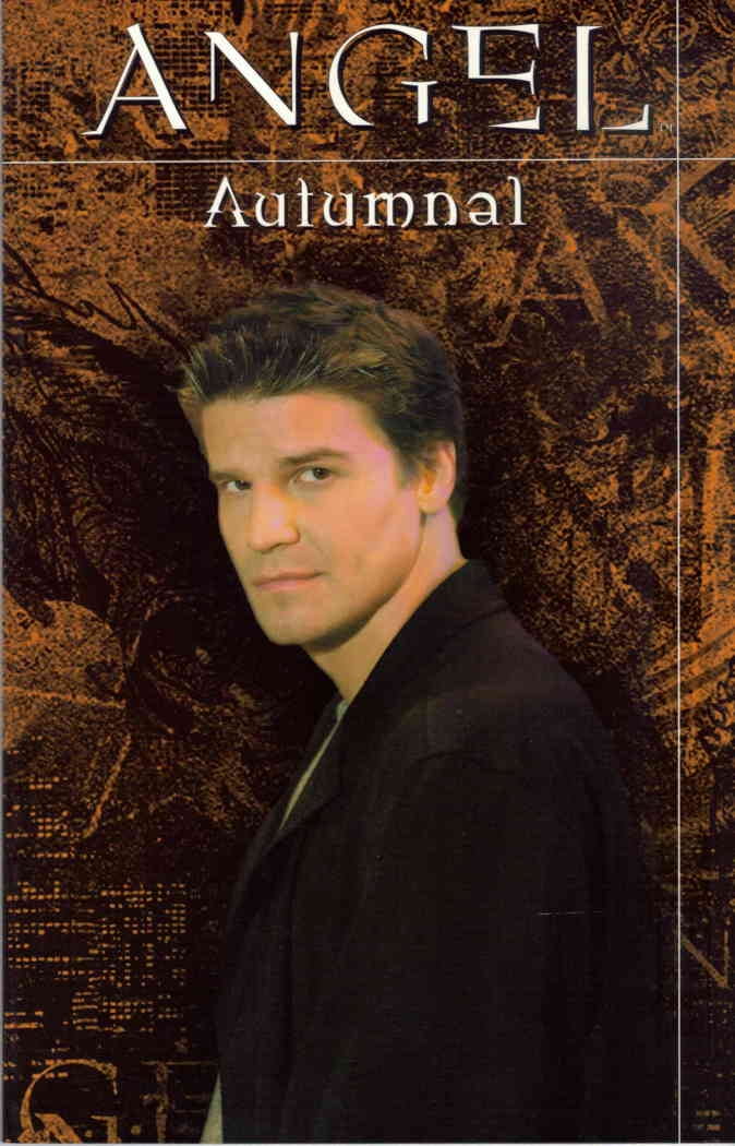 Angel (2nd series) TPB #4 VF ; Dark Horse Comic Book - Walmart.com