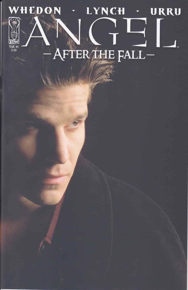 Angel: After the Fall #1 (2nd) VF ; IDW Comic Book - Walmart.com