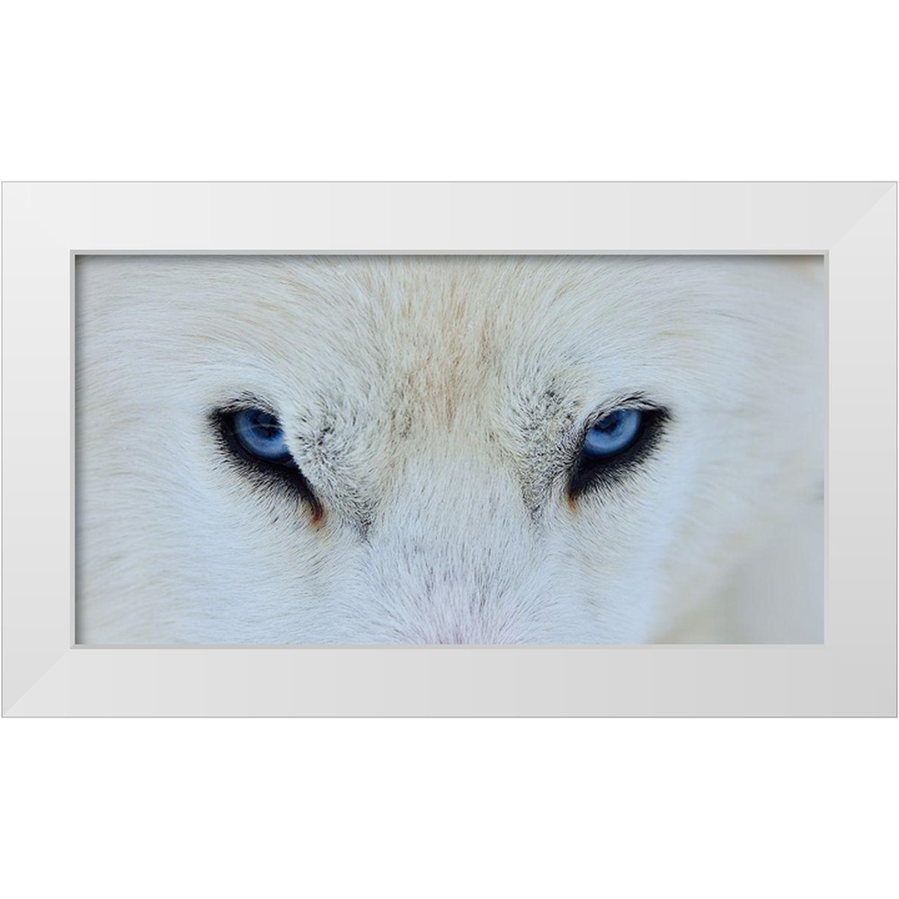 Angel Artus, Miquel 24x14 White Modern Wood Framed Museum Art Print ...