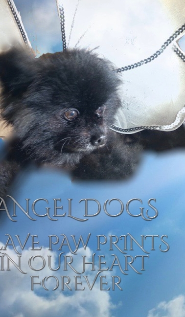 Angel Dogs in Heaven: Angel Dogs leave paw prints in our heart forever ...