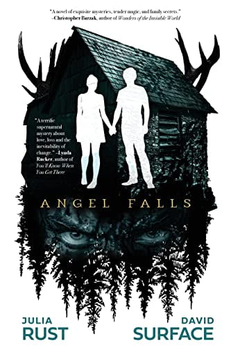 Pre-Owned Angel Falls Paperback Julia Rust, David Surface - Walmart.com