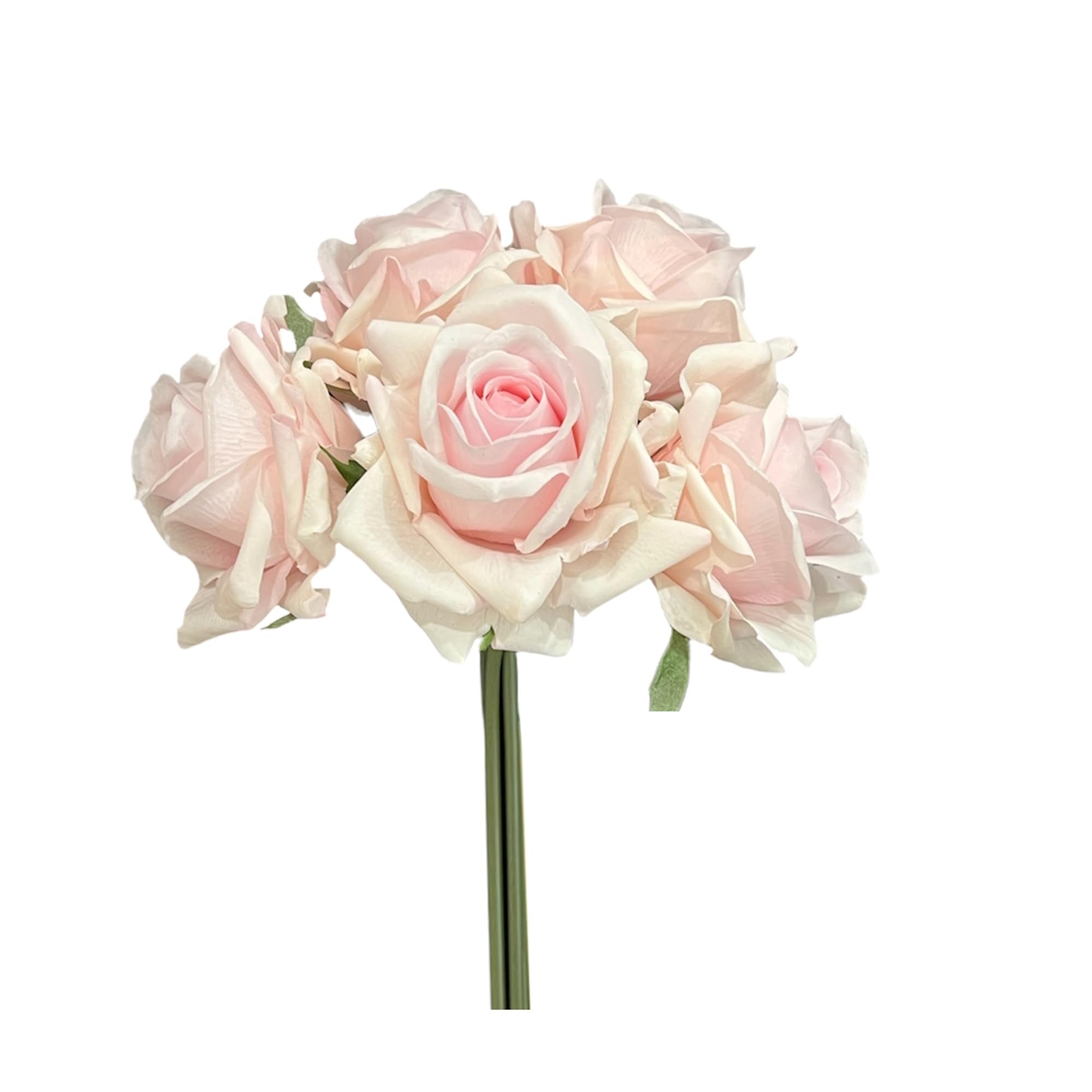 Angel Isabella Elegant Large Bloom Fresh Flower Feel Rose Bundle-5 Stem ...