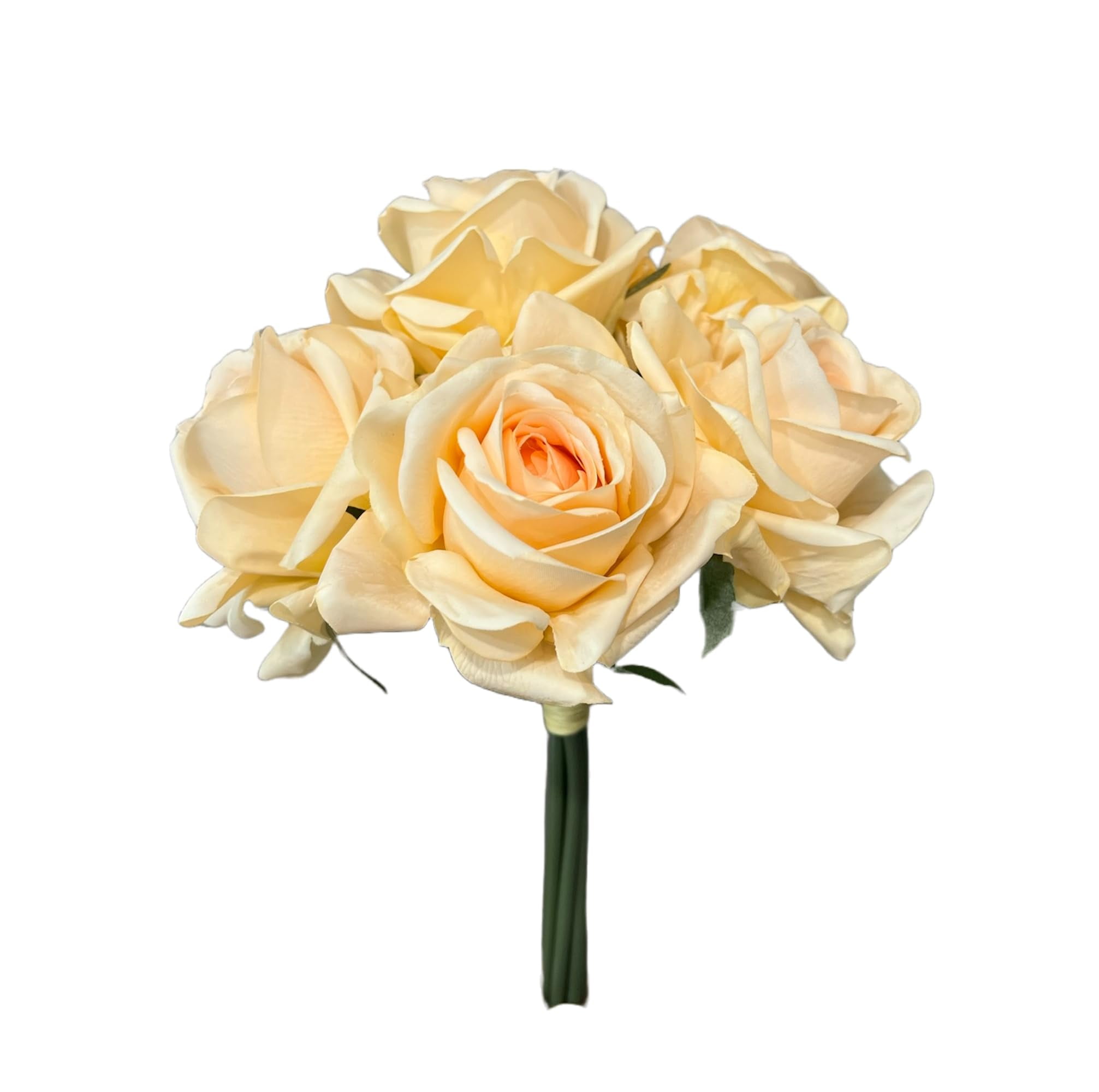 Angel Isabella Elegant Large Bloom Fresh Flower Feel Rose Bundle-5 Stem ...