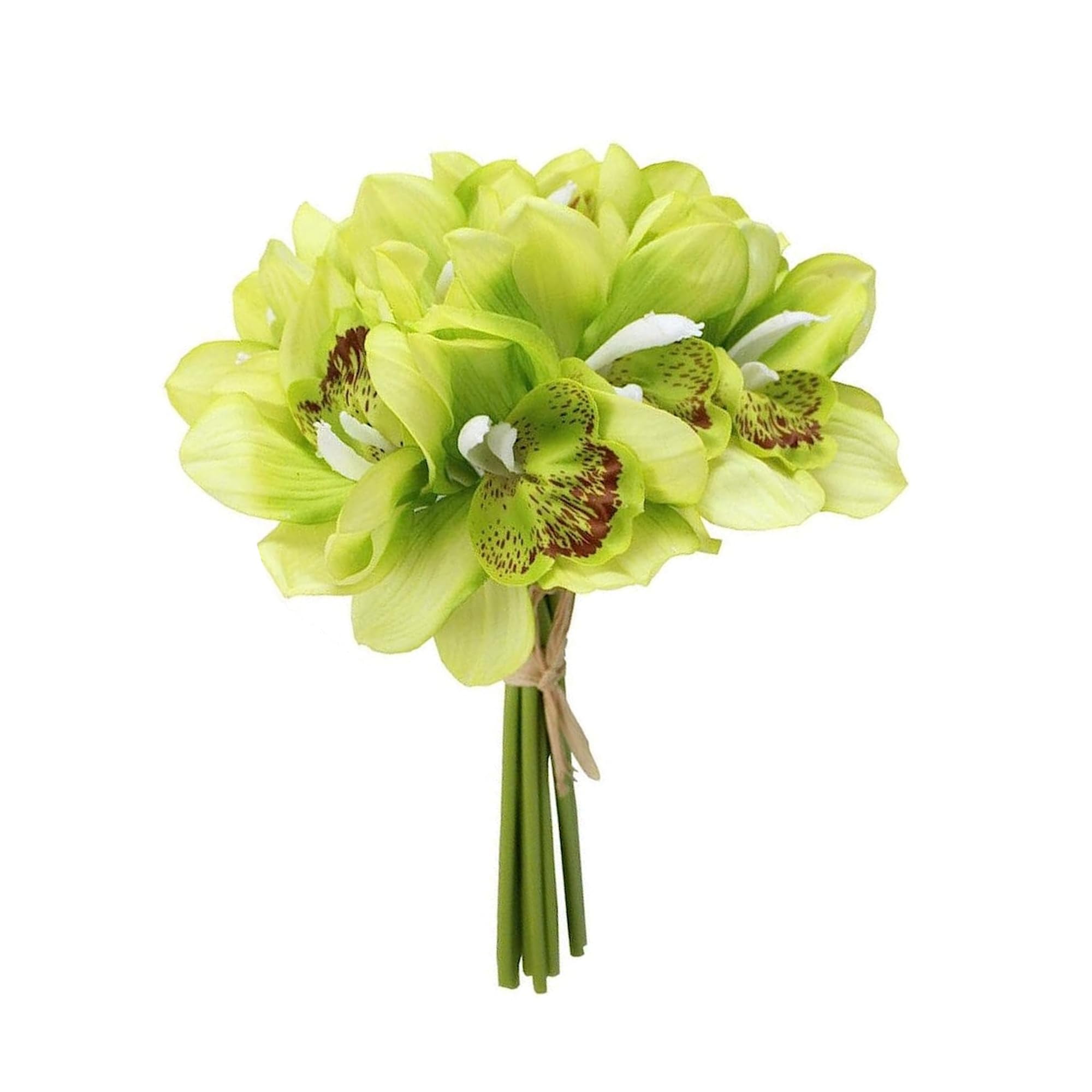 Angel Isabella Real Touch Artificial Cymbidium Boat Orchid Bundle-Pack ...