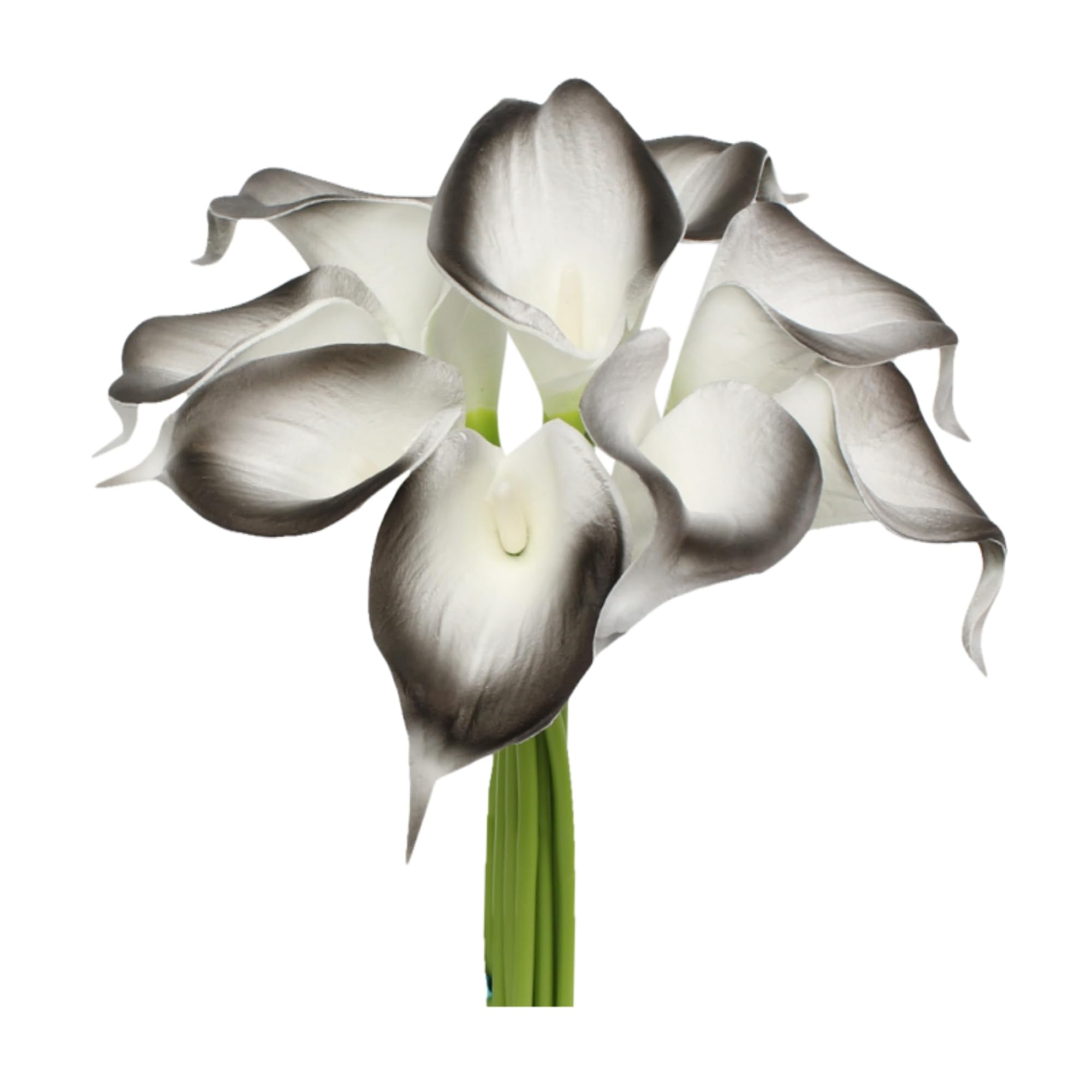 Angel Isabella USA-10pc Set of Quality Realistic Real Touch Calla Lily ...