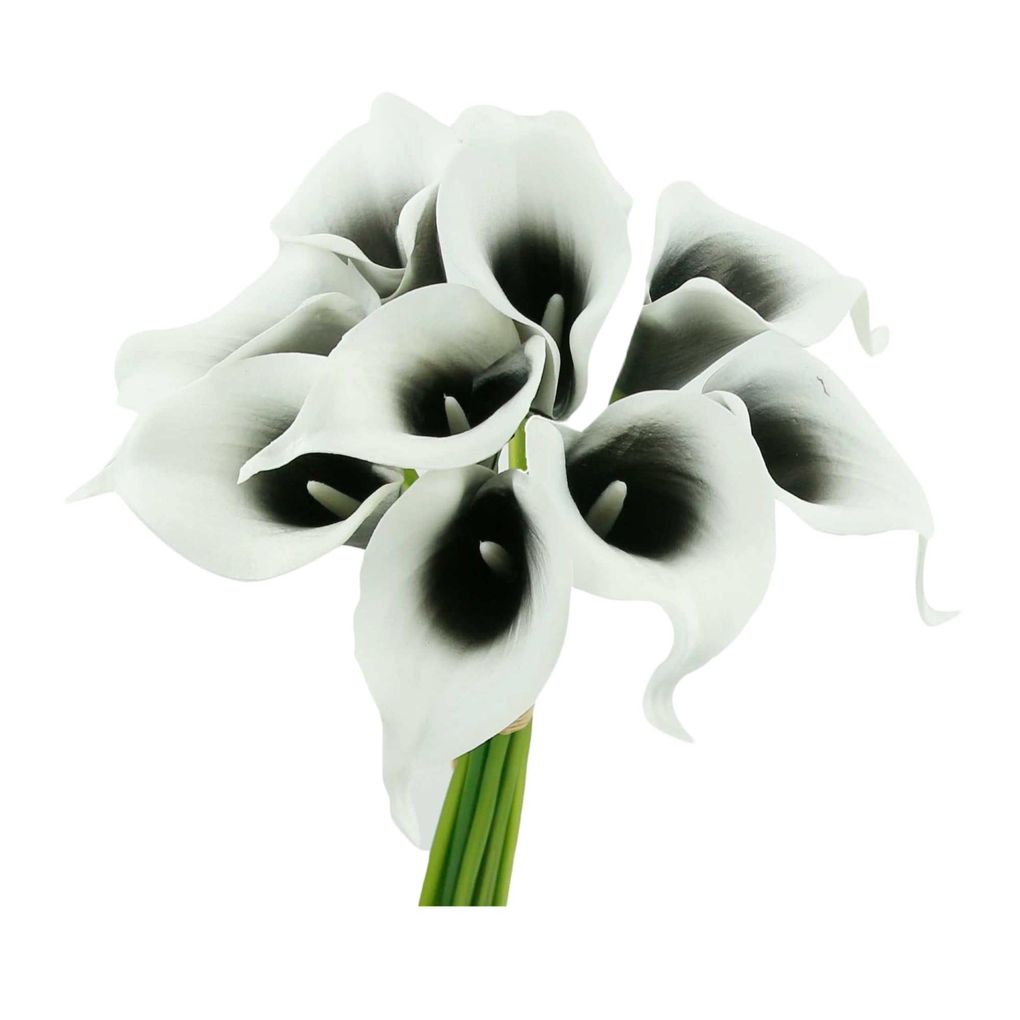 Angel Isabella USA-10pc Set of Quality Realistic Real Touch Calla Lily ...