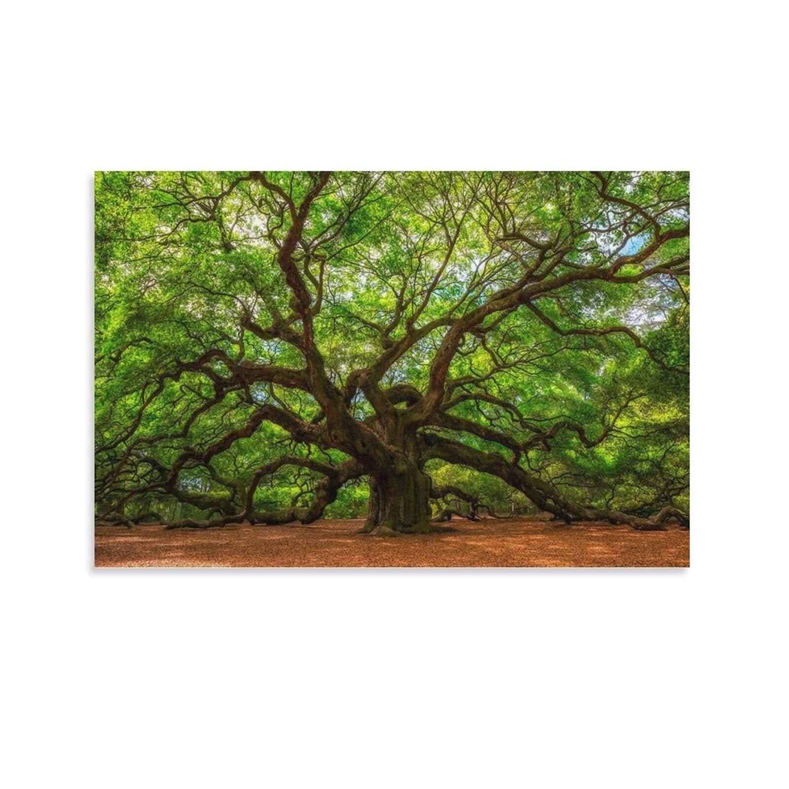 Angel Oak Old Green Tree Wall Art Green Tree Landscape Nature Wall Art ...