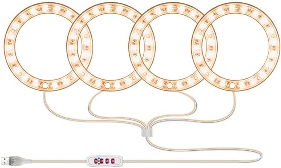 Angel Ring Grow Light, Plant Growth Light Ring with USB Plug, Grow Lamp ...