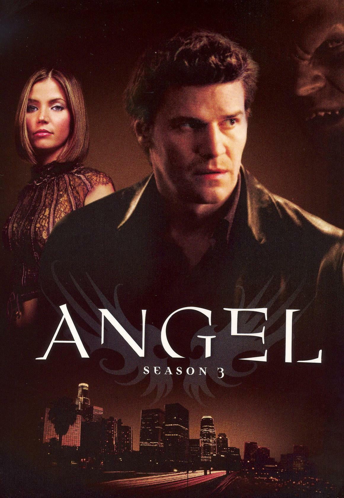 Angel: Season Five (DVD) - Walmart.com