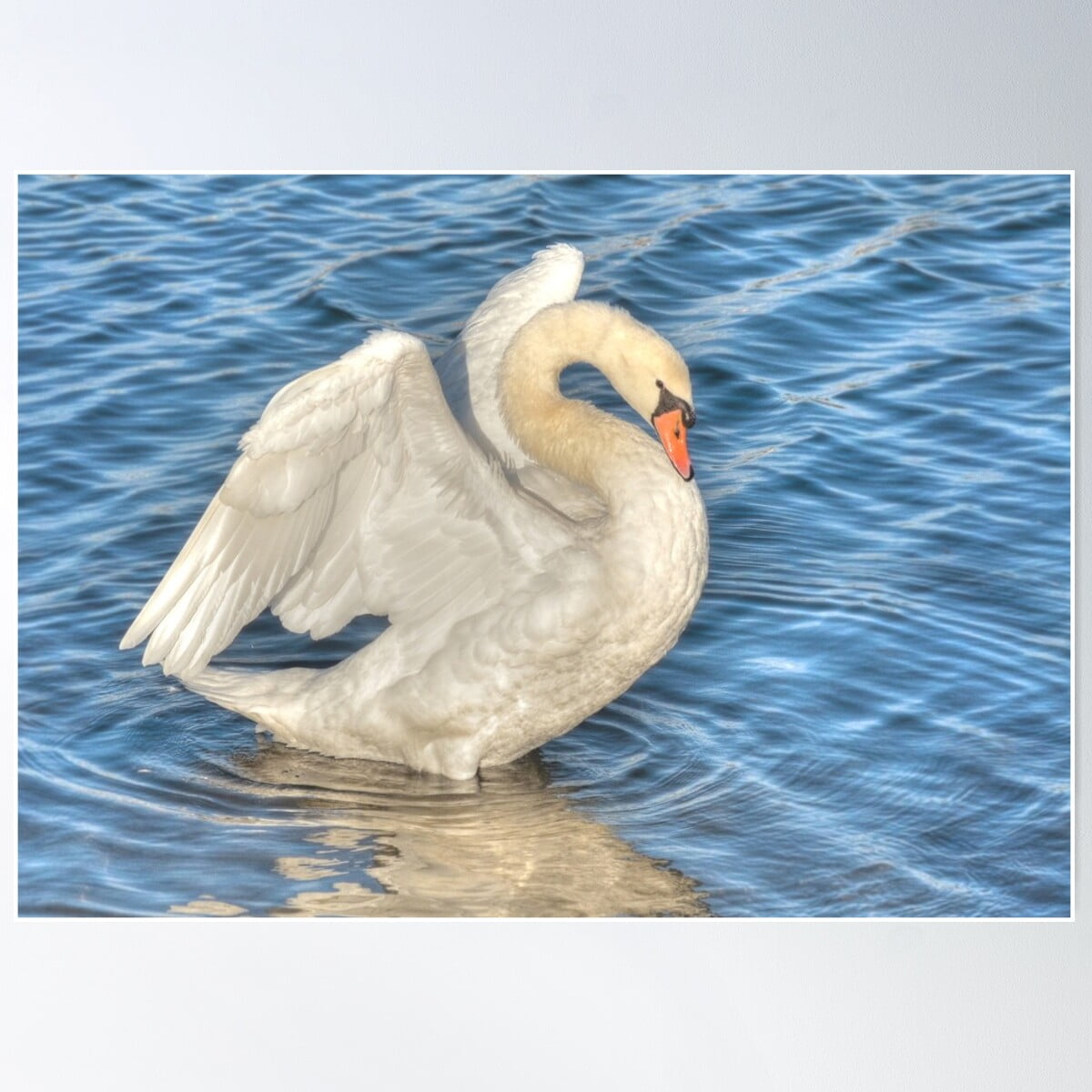 Angel Swan Poster Wall Art, Modern Wall Decor For Living Room Bedroom ...