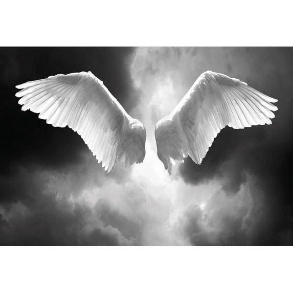 Angel Wings Baby Portrait Photography Backgrounds Newborn Child Photo ...