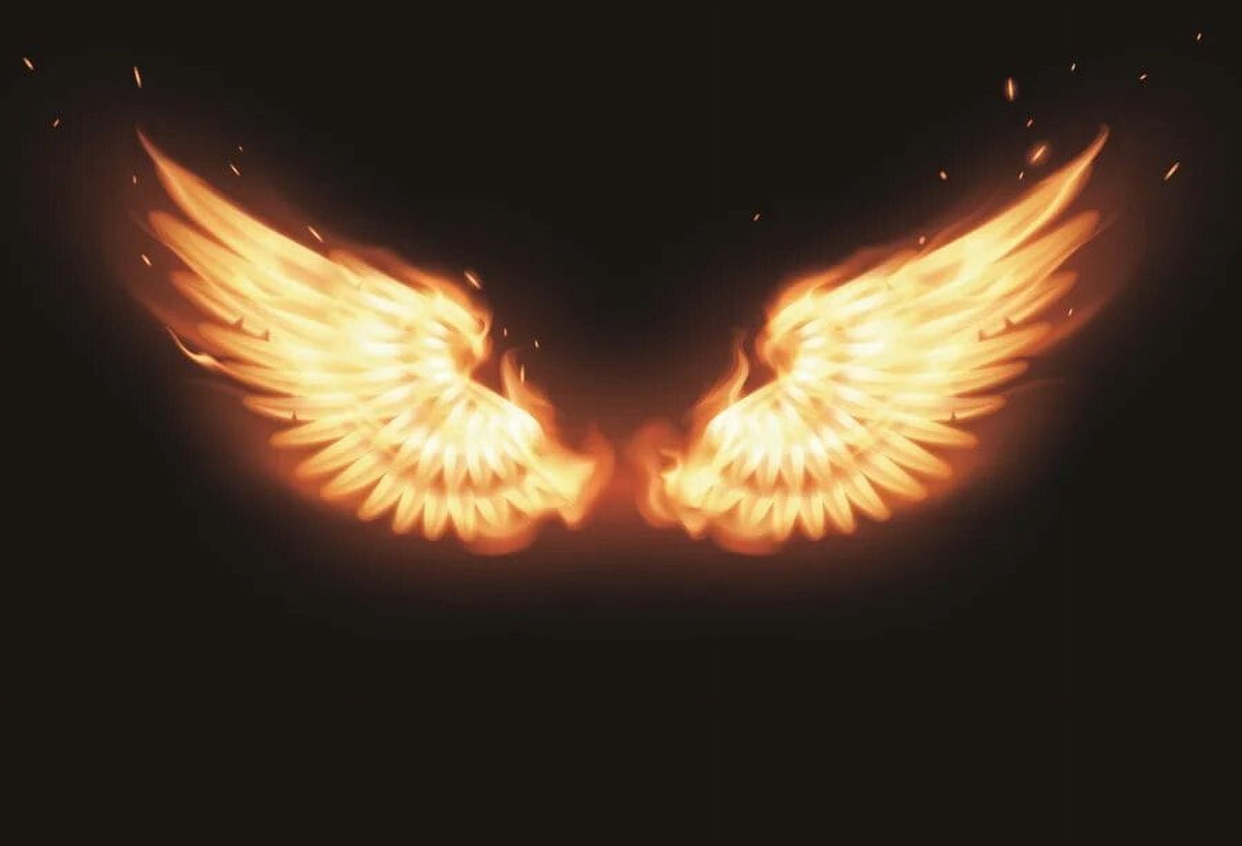 Angel Wings Baby Portrait Photography Backgrounds Newborn Child Photo ...