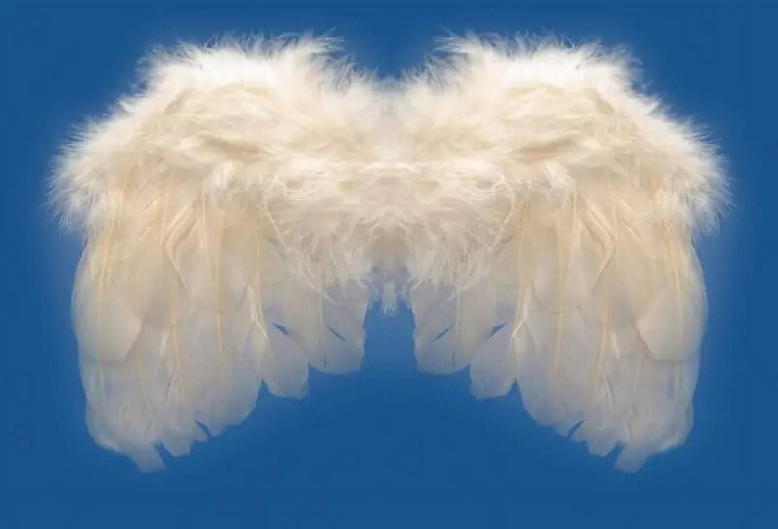 Angel Wings Baby Portrait Photography Backgrounds Newborn Child Photo ...