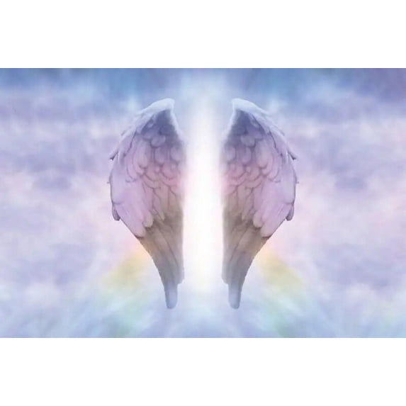 Angel Wings Baby Portrait Photography Backgrounds Newborn Child Photo ...