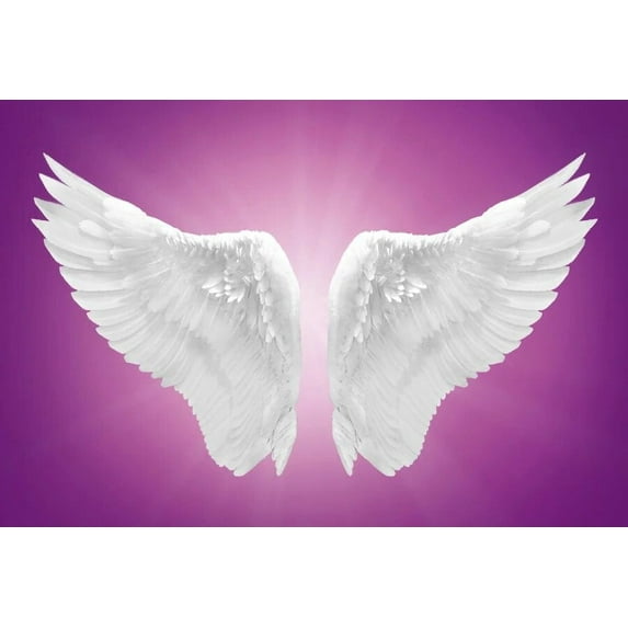 Angel Wings Baby Portrait Photography Backgrounds Newborn Child Photo ...