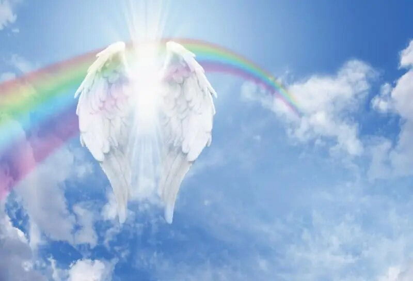 Angel Wings Baby Portrait Photography Backgrounds Newborn Child Photo ...