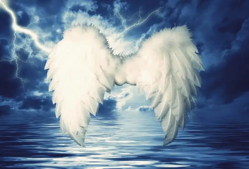 Angel Wings Baby Portrait Photography Backgrounds Newborn Child Photo ...