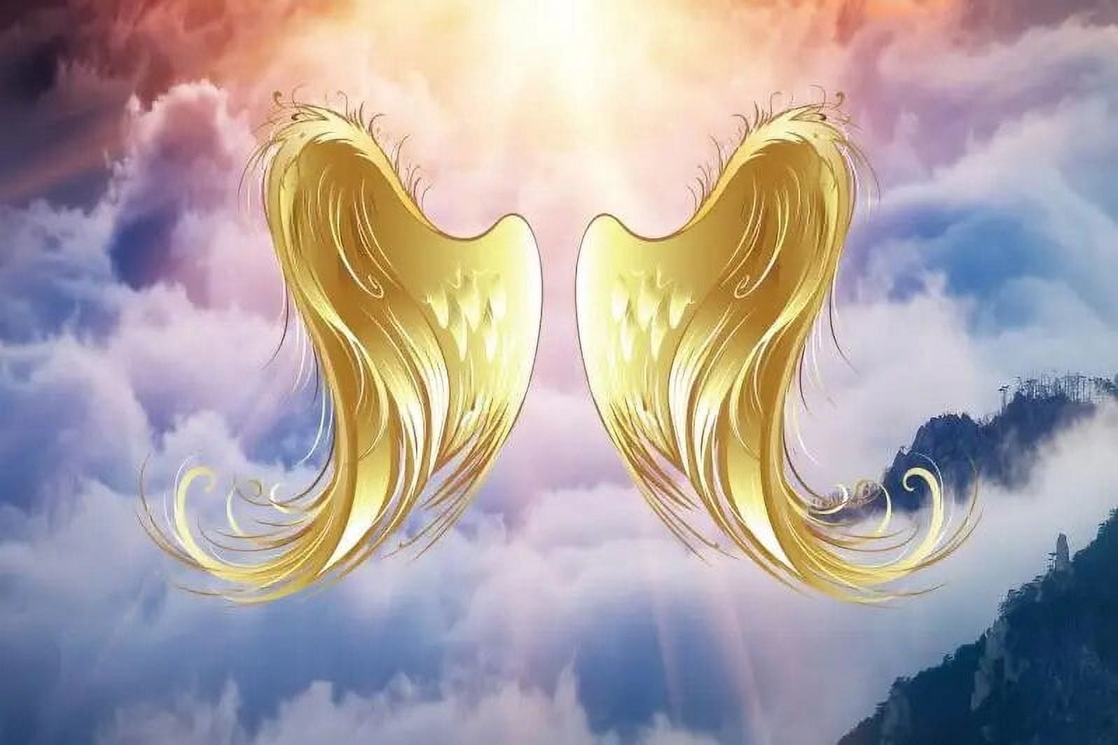 Angel Wings Baby Portrait Photography Backgrounds Newborn Child Photo ...