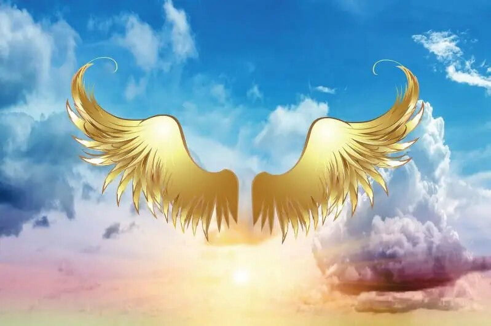 Angel Wings Baby Portrait Photography Backgrounds Newborn Child Photo ...