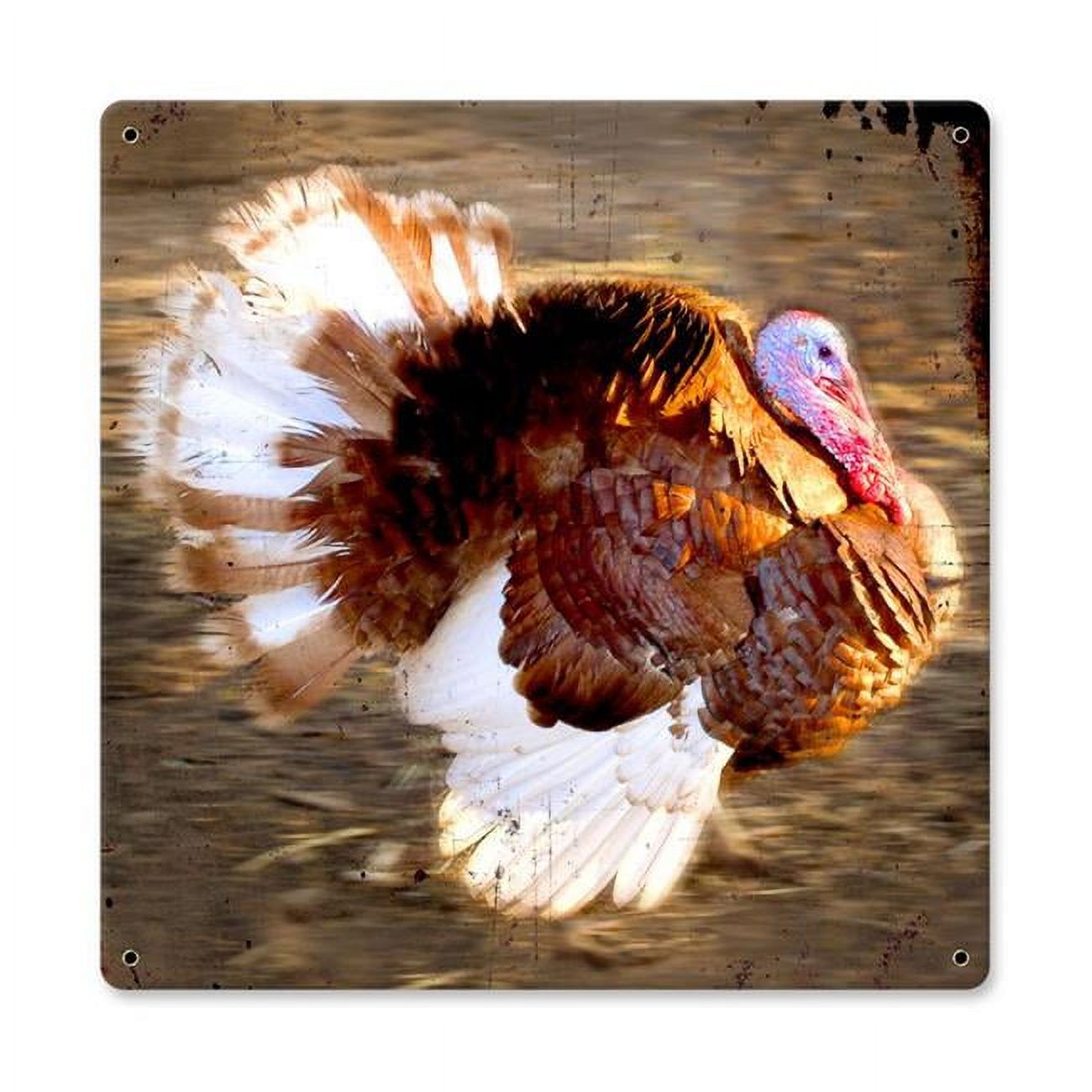 Angela Faye AIF050 12 x 12 in. Running Turkey Metal Sign - Walmart.com