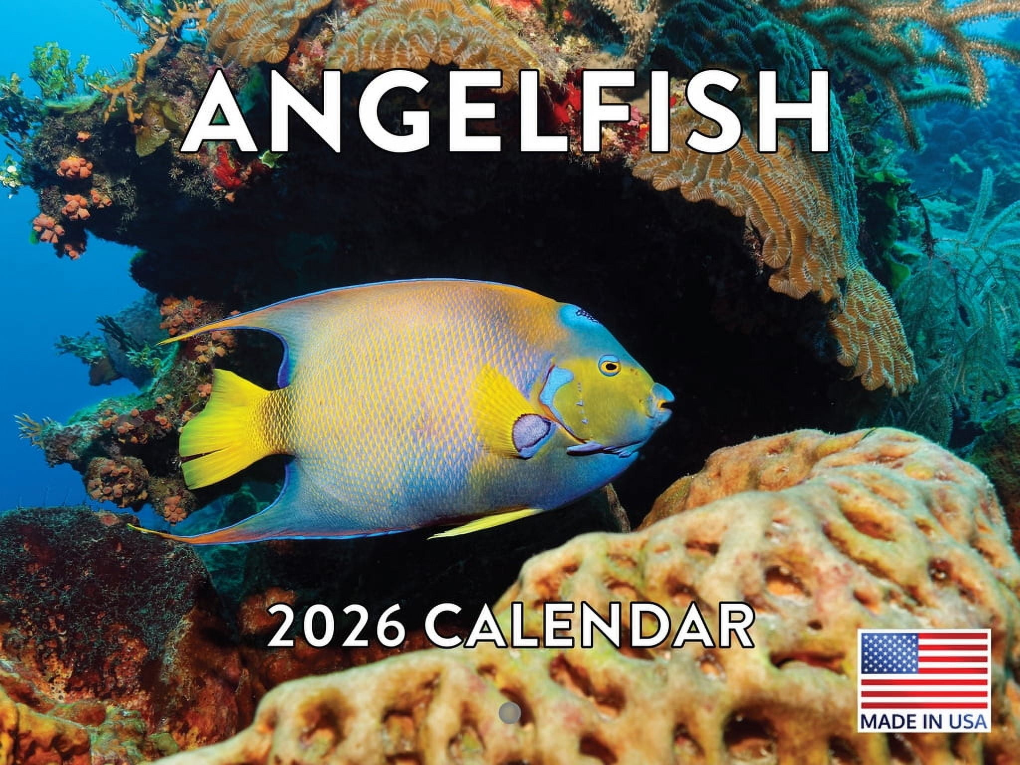 Angelfish Calendar 2026 Angel Fish Monthly Wall Calender 12 Month ...