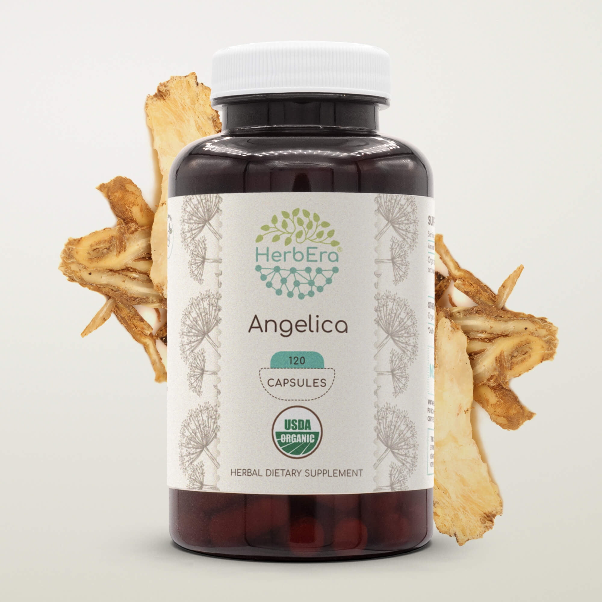 Angelica 120 Capsules, 500 mg, Organic Angelica (Angelica archangelica ...