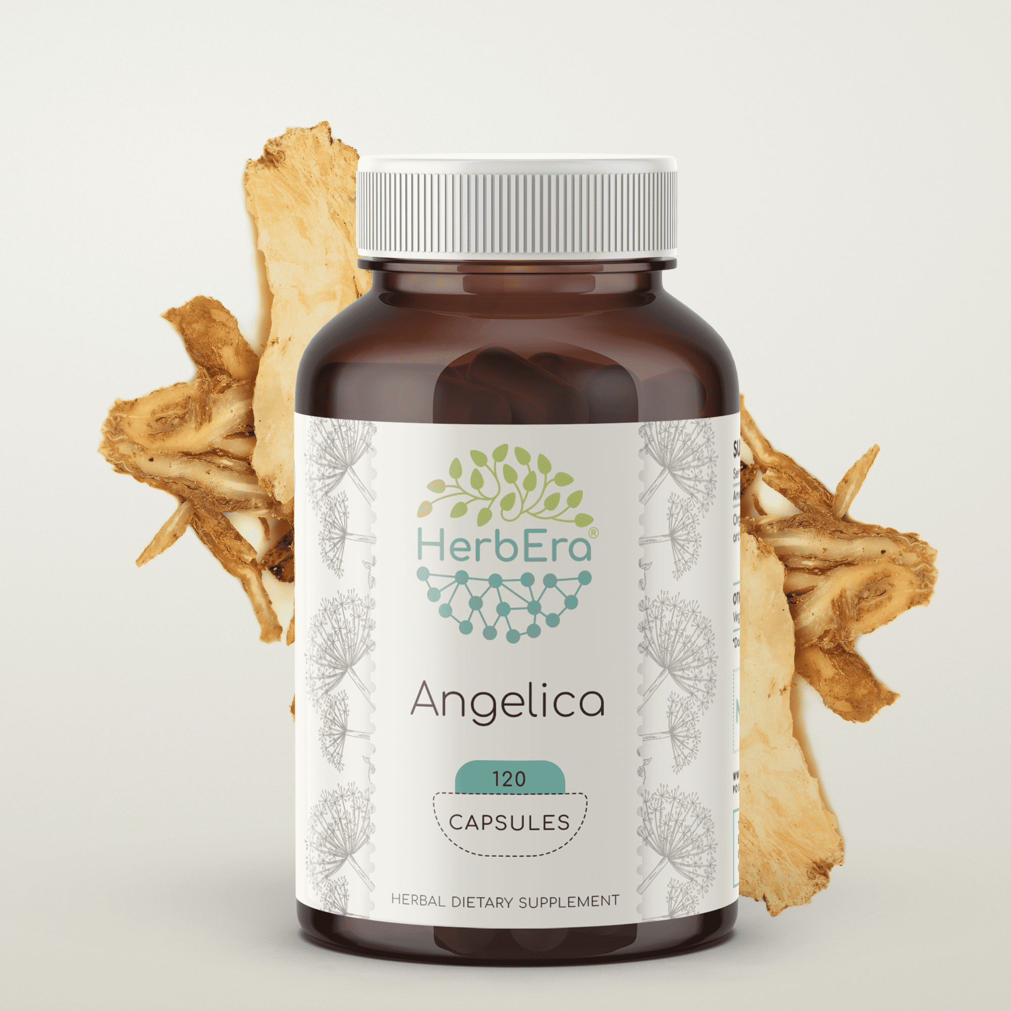 Angelica 120 Capsules, 500 mg, Organic Angelica (Angelica archangelica ...