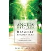 Everyday Angels : How to Encounter, Experience, and Engage Angels in Everyday Life - Walmart.com