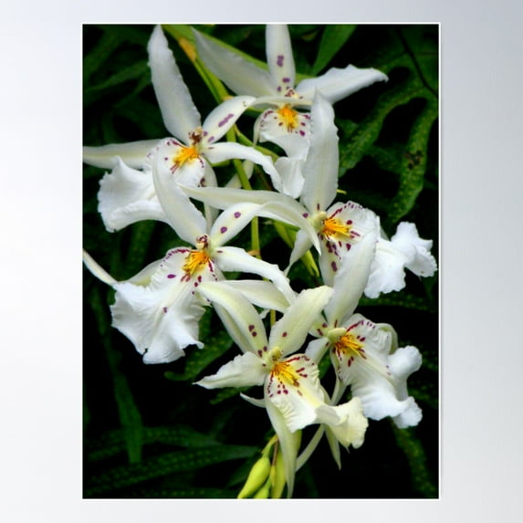 Angels Poster Wall Art, Modern Wall Decor For Living Room Bedroom ...