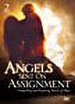 Pre-Owned Angels Sent on Assignment - Walmart.com