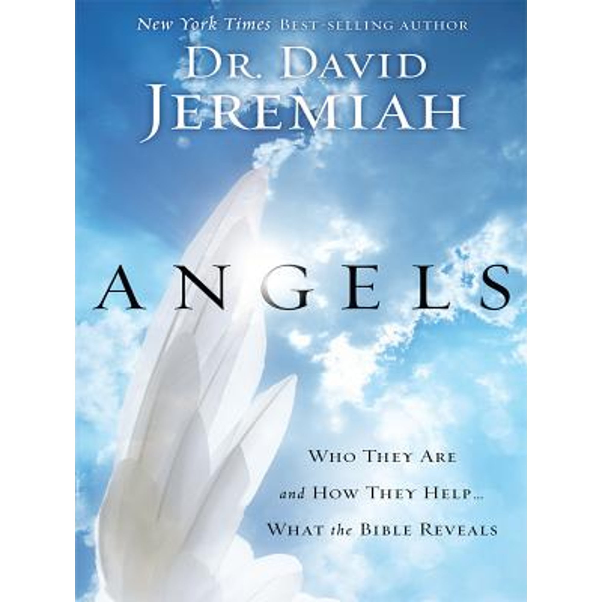 Pre-Owned Angels: Who They Are and How They Help... What the Bible ...