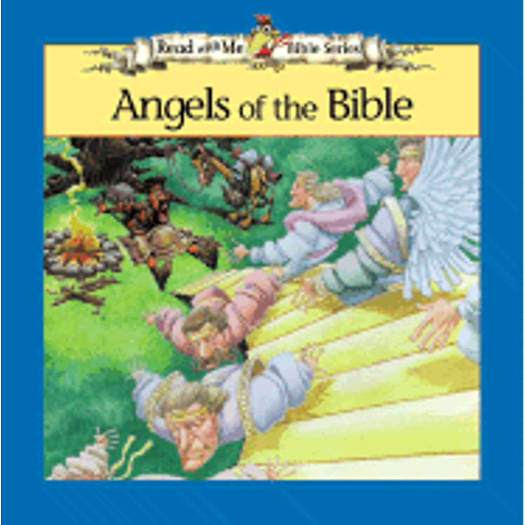 Pre-Owned Angels of the Bible (Hardcover 9780310924012) by Zondervan ...