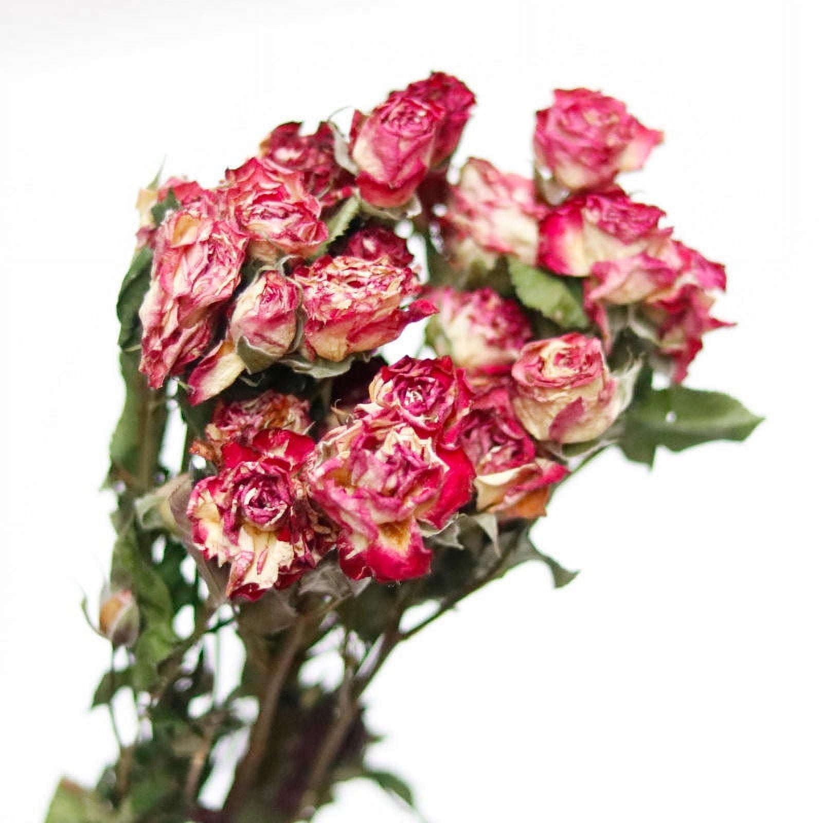 Angfeng 15 Heads Natural Rose Bouquet Real Roses Dried Flower Epoxy ...