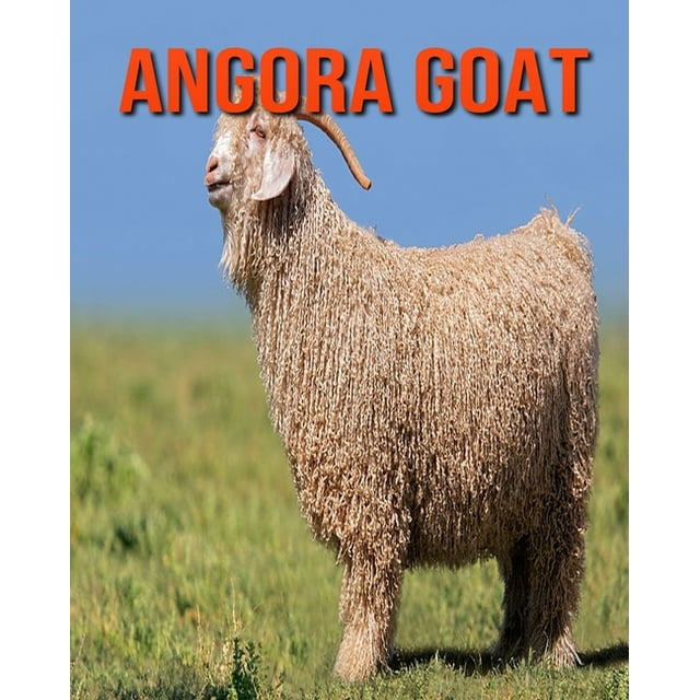 Angora Goat : Children Book of Fun Facts & Amazing Photos (Paperback ...