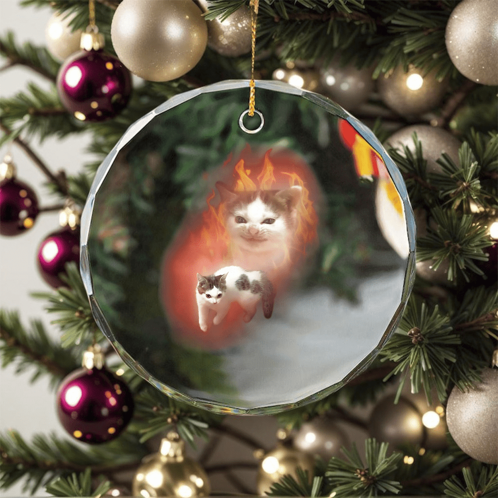 Angry Cat Cat Kitten Lover Brainrot Ornament, Hanging Decor, Crystal ...
