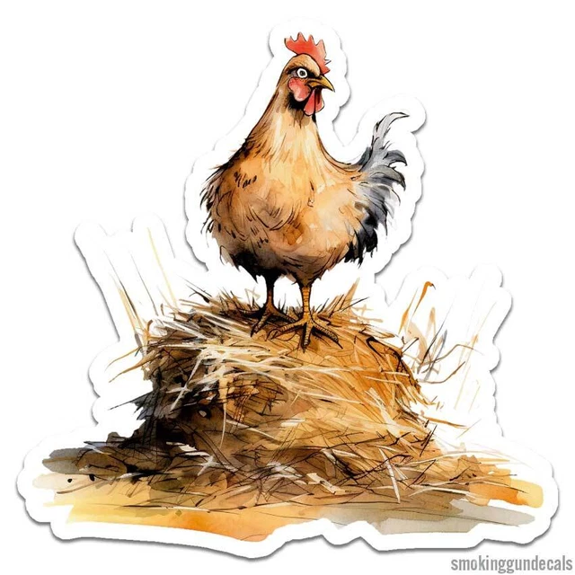 Angry Chicken Nest Sticker Indoor Outdoor Phone Decal Water Bottle ...