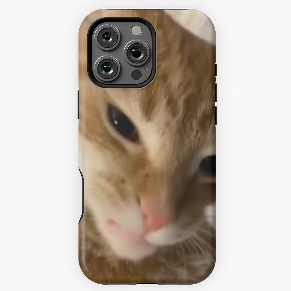Angry Orange Cat Meme Funny Mood Art iPhone Case 11 12 13 14 15 16 17 ...