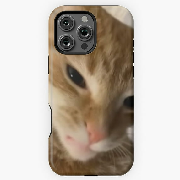 Angry Orange Cat Meme Funny Mood Art iPhone Case 11 12 13 14 15 16 17 ...