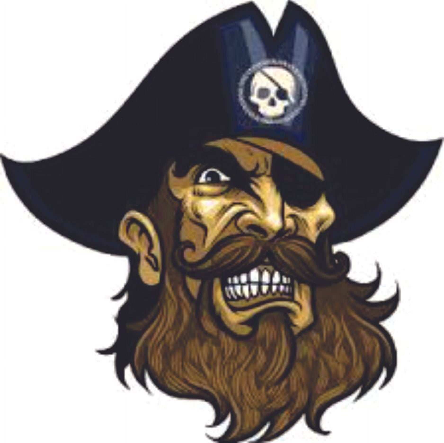 Angry Pirate Face Wall Decals - Boys Room Pirates Ships Kids Decor ...