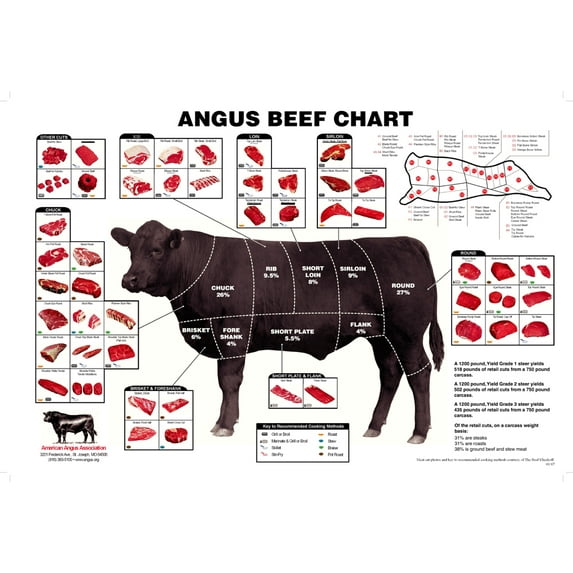 Angus Beef Chart Meat Cuts Diagram Poster Metal Print 12in x 16in Print ...